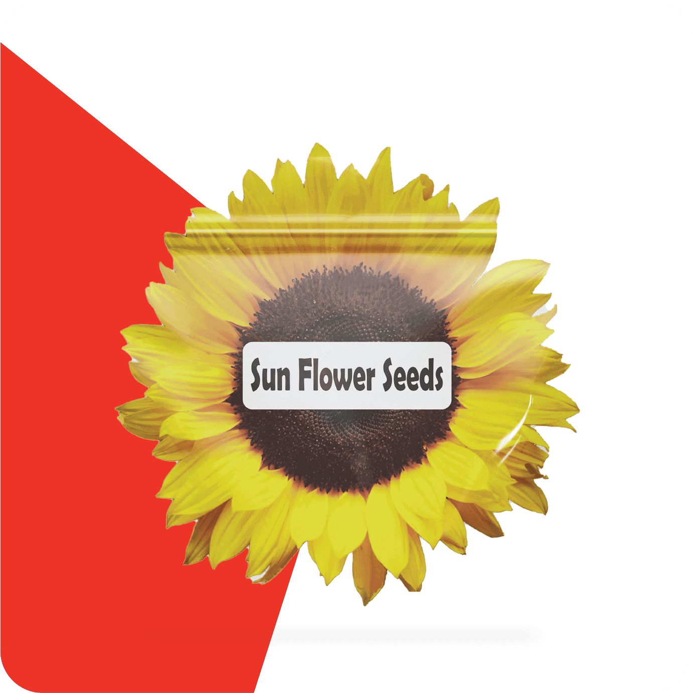 Custom Seed Packets